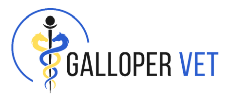 JorVet | The Source for Trusted Veterinarian Equipment — Galloper Vet